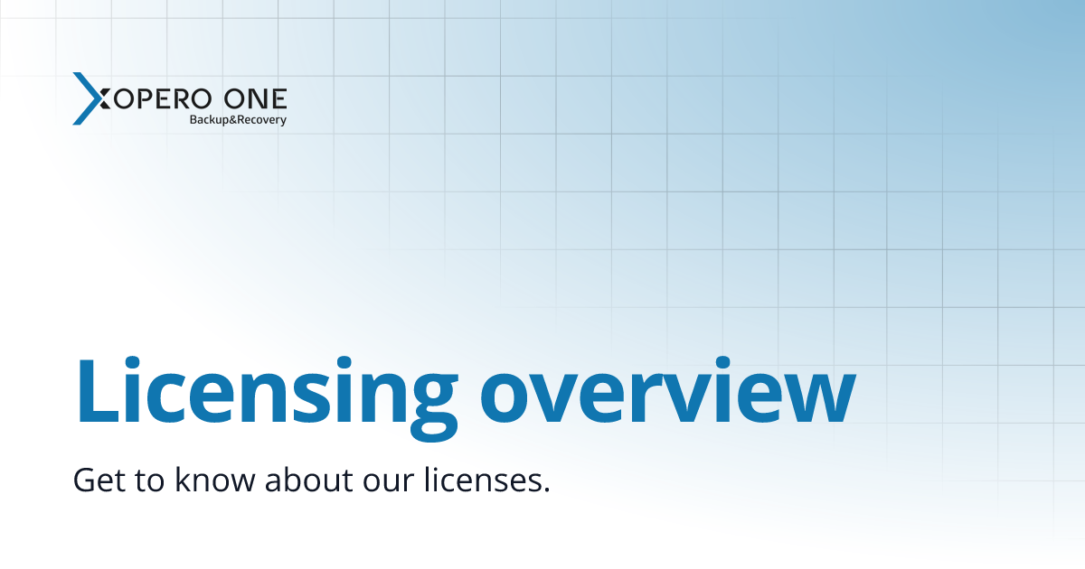 Licensing overview | Xopero ONE Knowledge Base