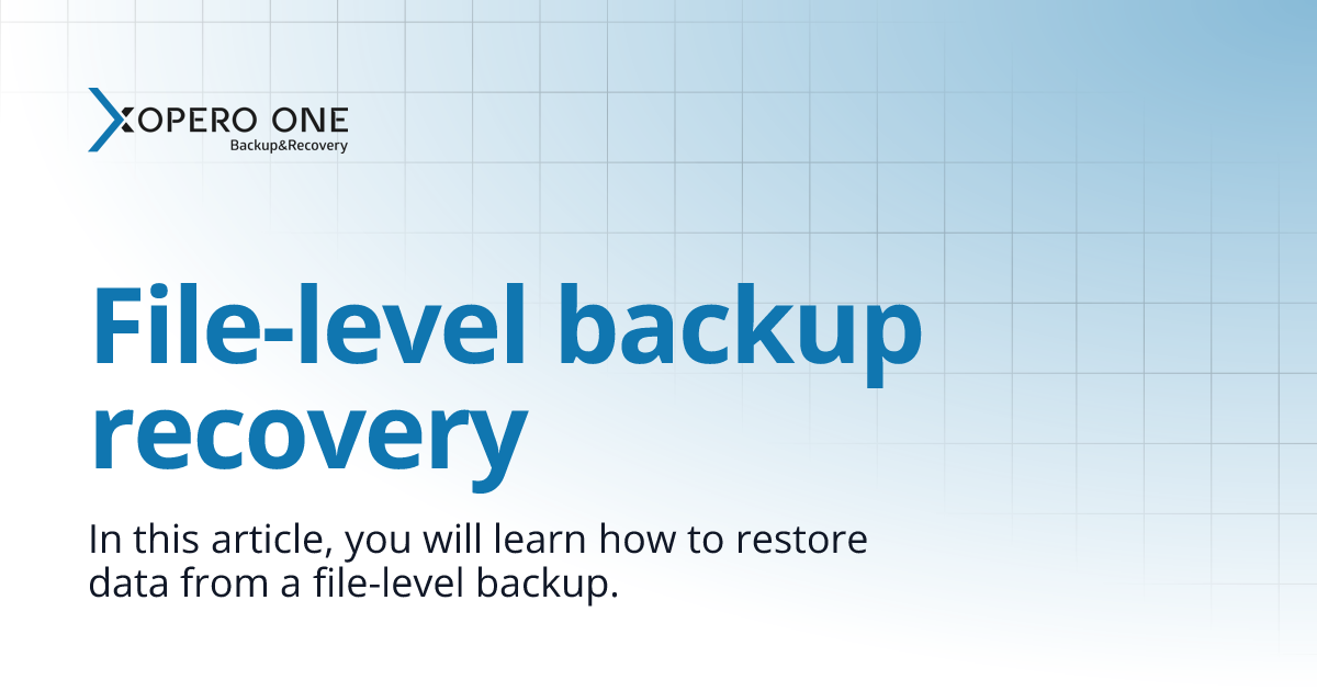 File-level backup recovery | Xopero ONE Knowledge Base